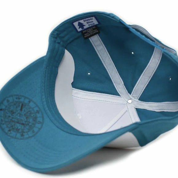 Accessories | Dipper Aqua Pine Hat Embroidered Curved Unisex Adult ...